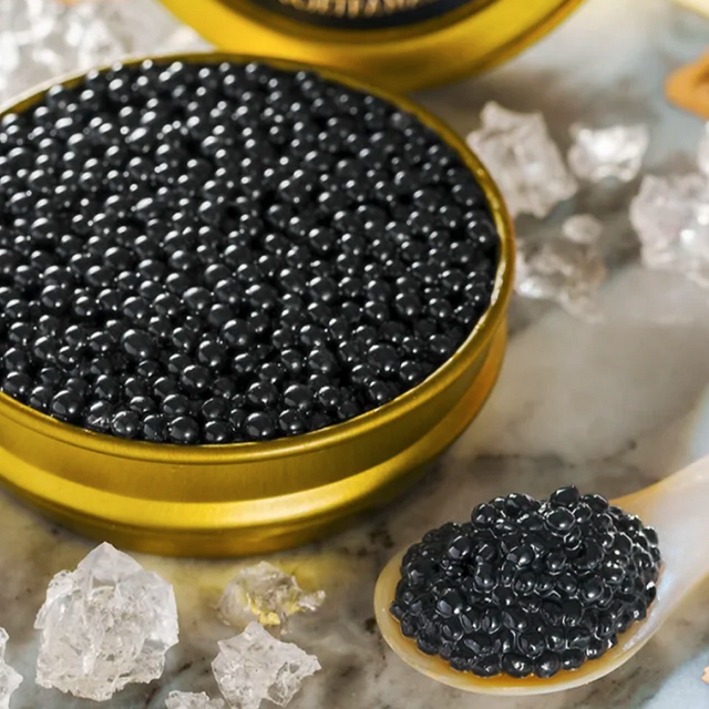 Hollywood Star's Private Toothpaste Brand – nobaton