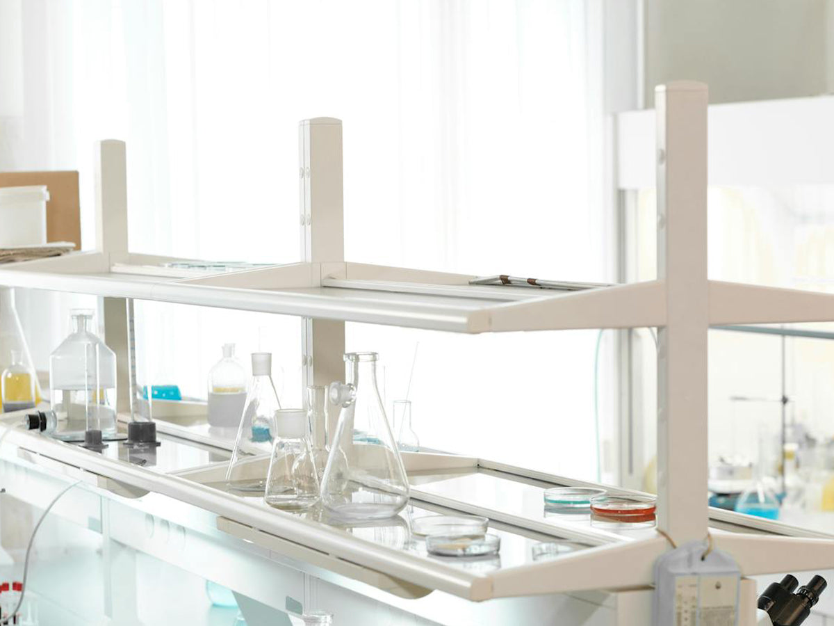 The Aging of Oral Cells and Health – nobaton